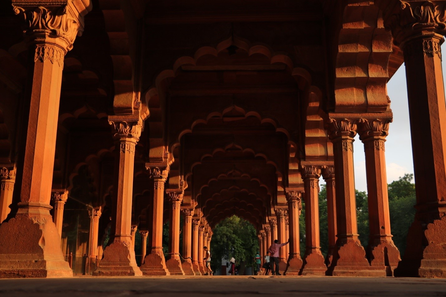 What are the Effortless yet Advanced Photography Tips to Improve ...